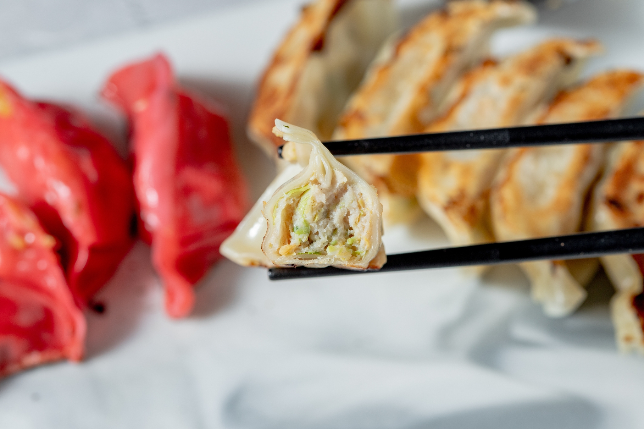 GYOZA-SAN: Singapore’s First Halal Gyoza Speciality Shop - Singapore ...